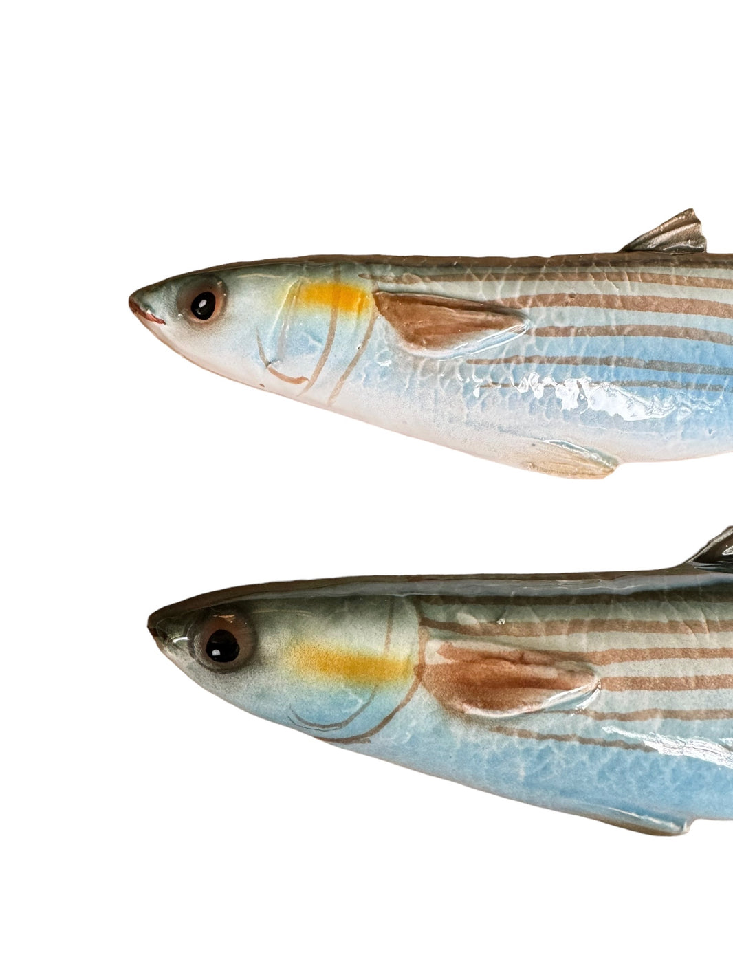 Ceramic Fish – In Giro