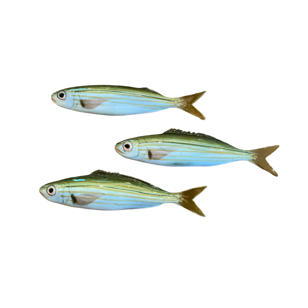 Ceramic Fish – In Giro